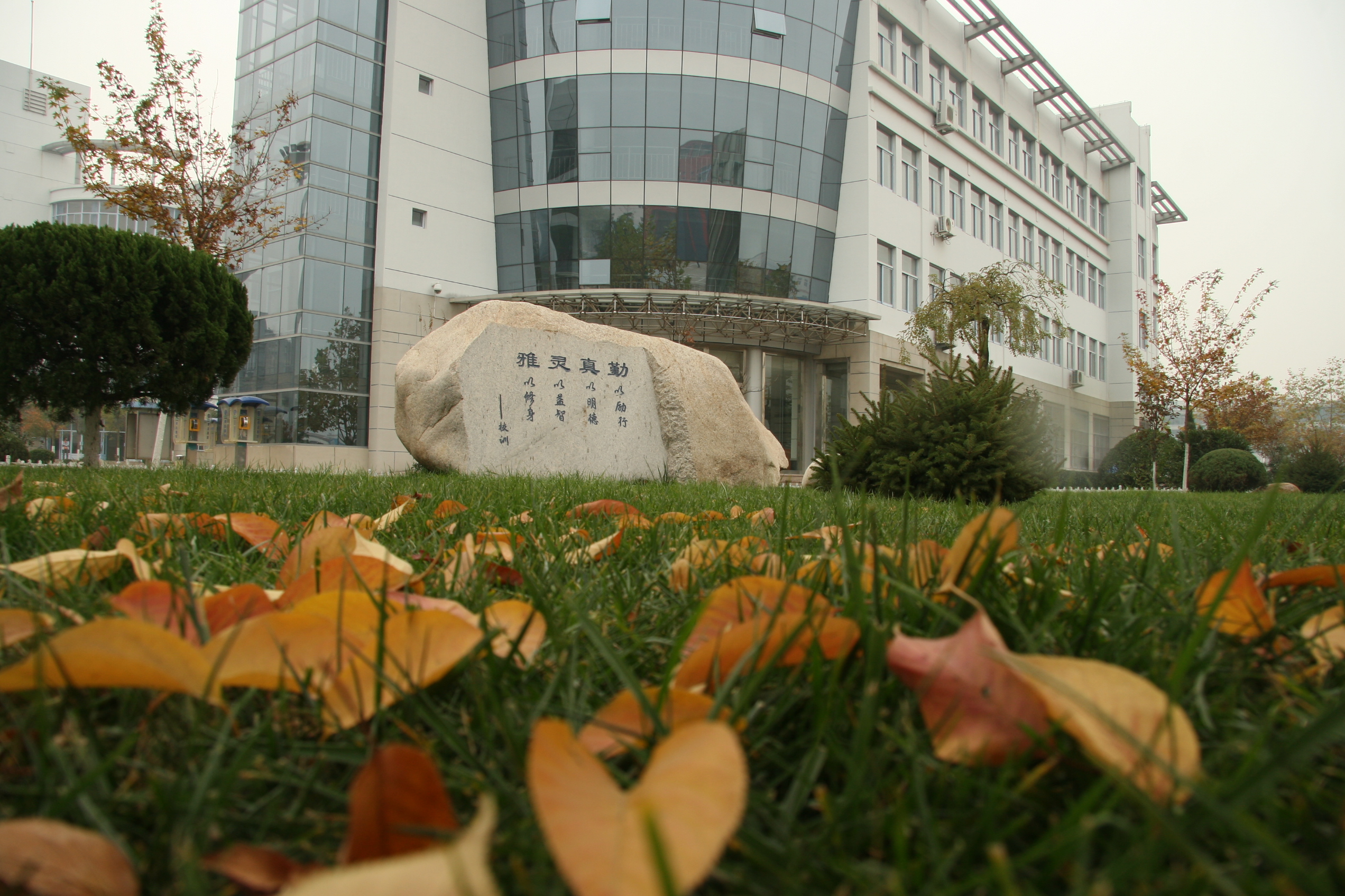 Professor Liu Yinghua is awarded a sub-project of the NSFC 's key projects